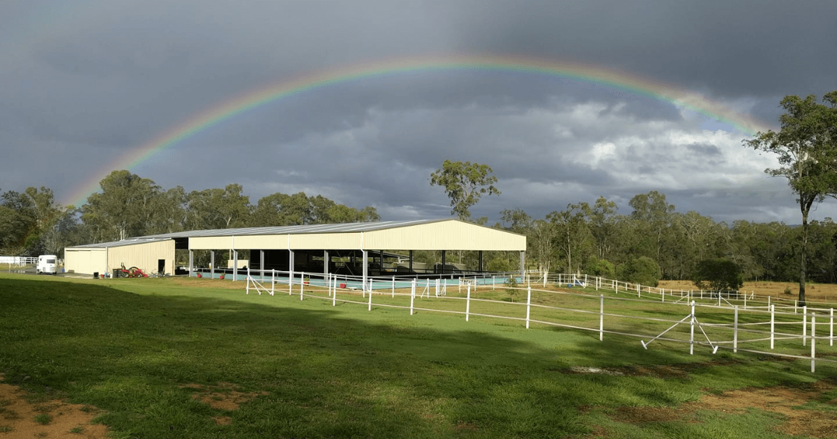 5 horse arena construction tips | ABC Sheds