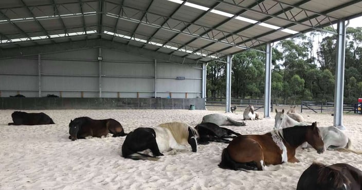 Horse Arena Size Guide: Best Dimensions for Every Use