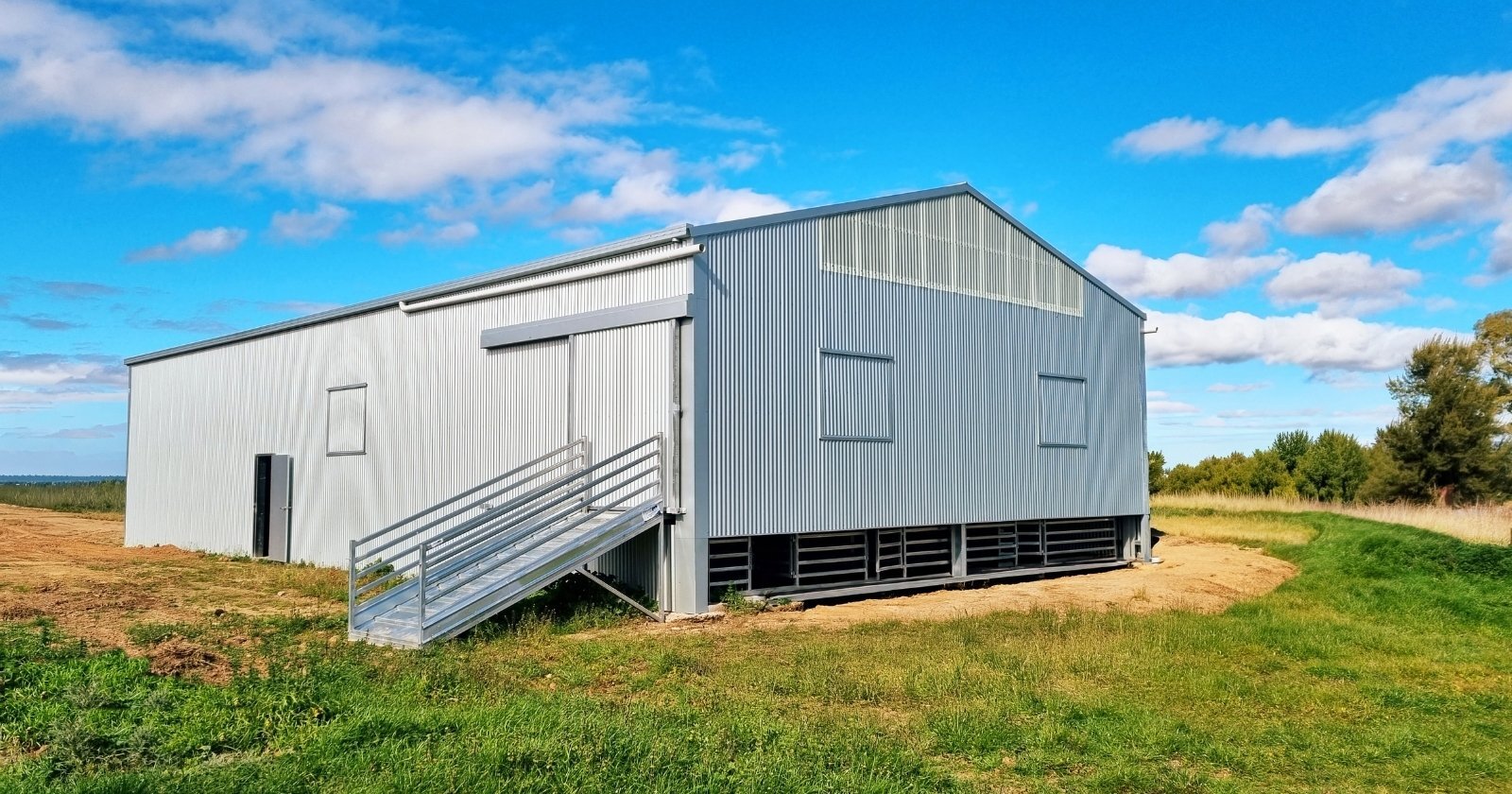 What's the process for building a shearing shed?